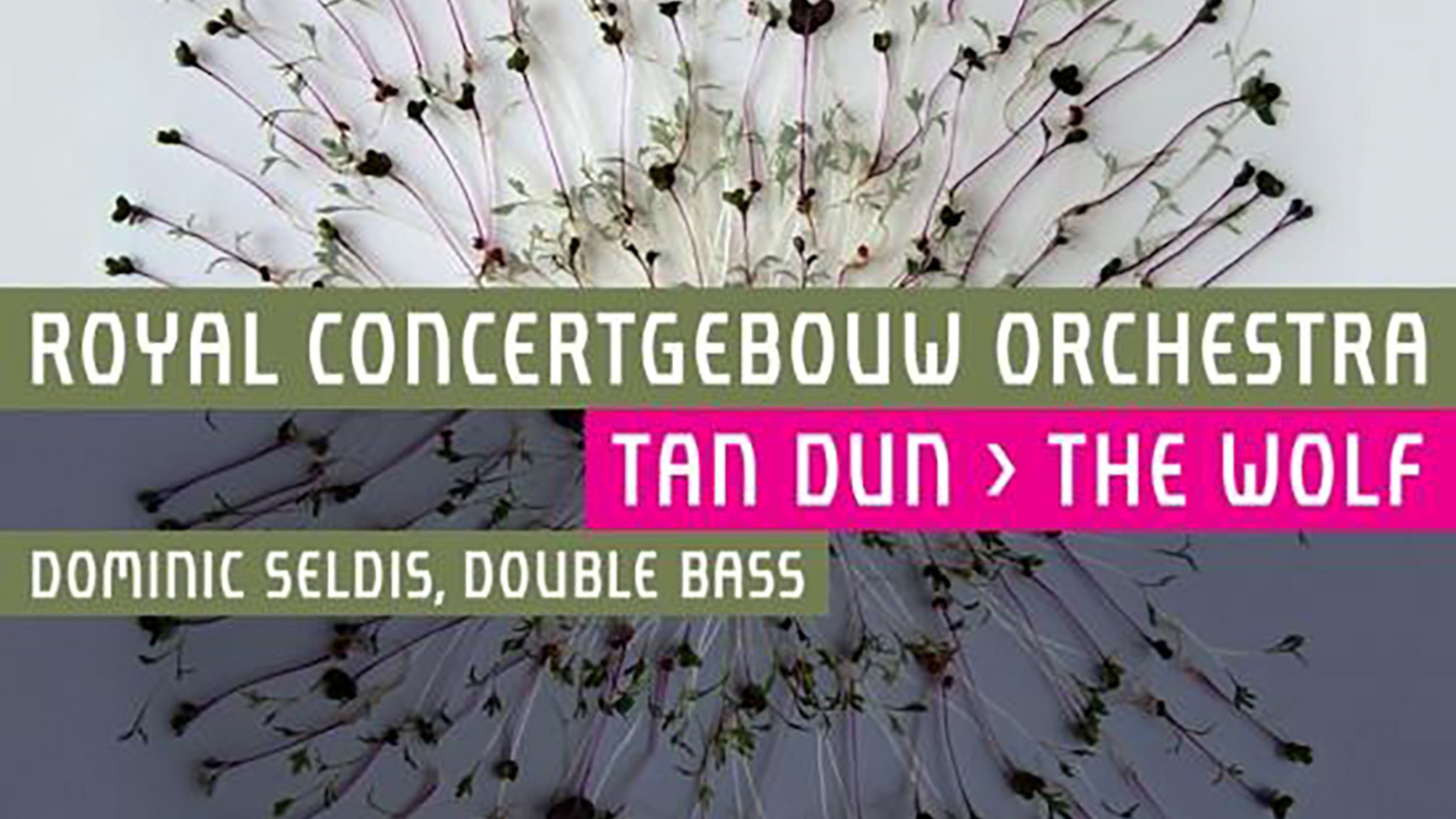 Tan Dun | HarrisonParrott