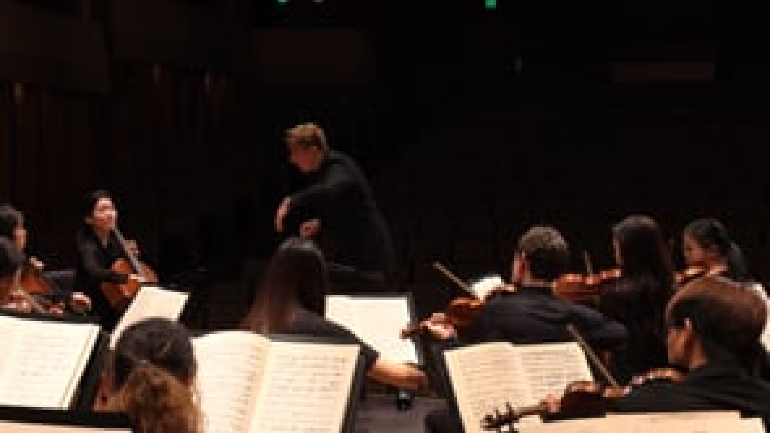 Ross Jamie Collins | HarrisonParrott