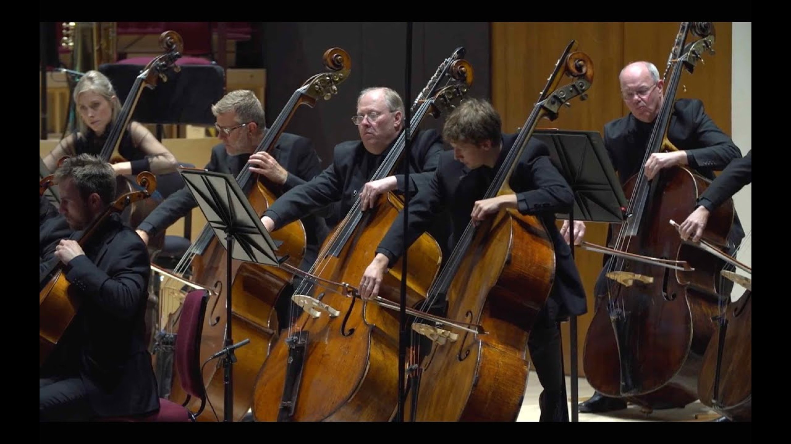 Dani Howard | HarrisonParrott