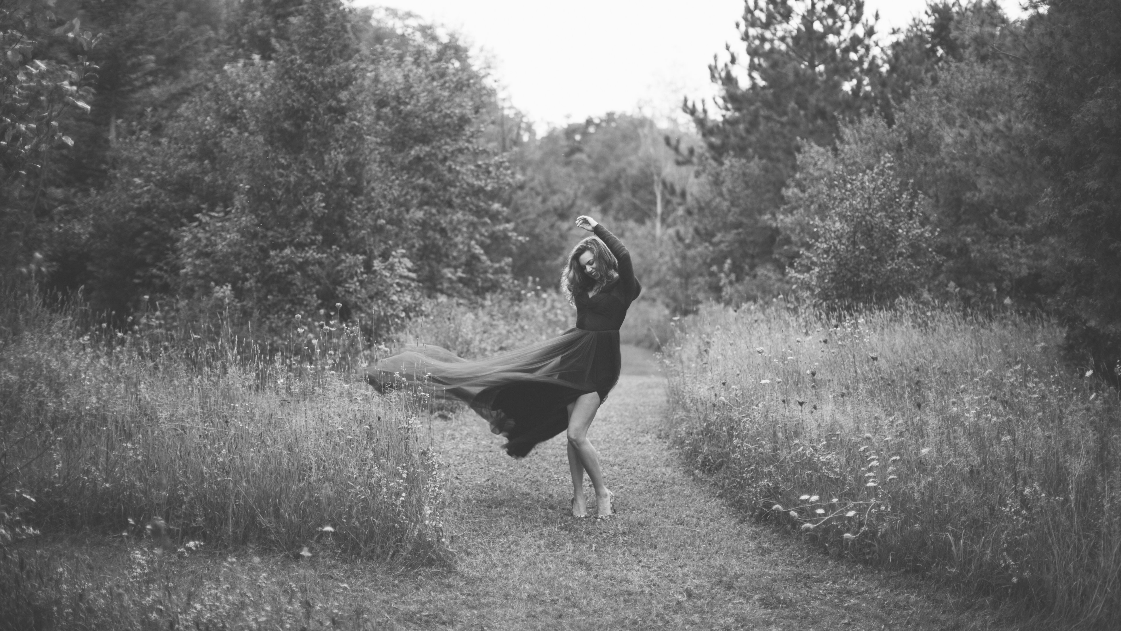 Ambur Braid | HarrisonParrott