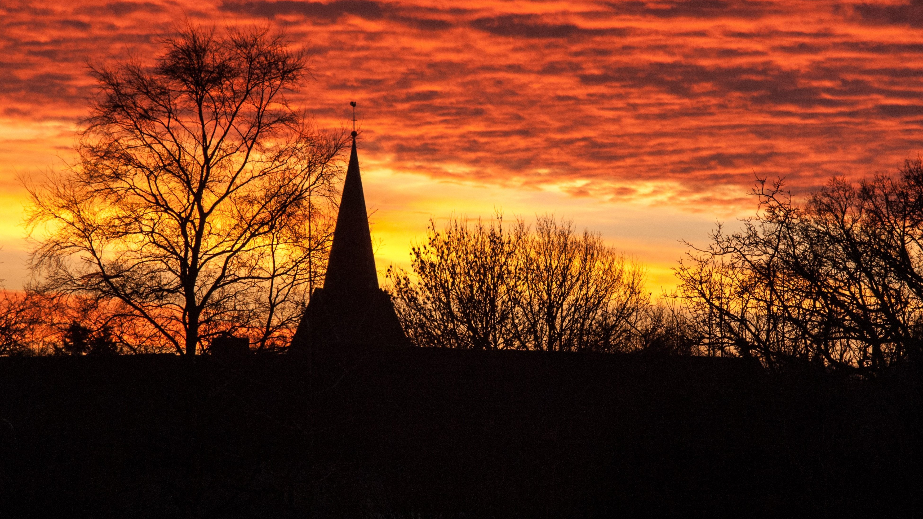 Sol Gabetta | HarrisonParrott