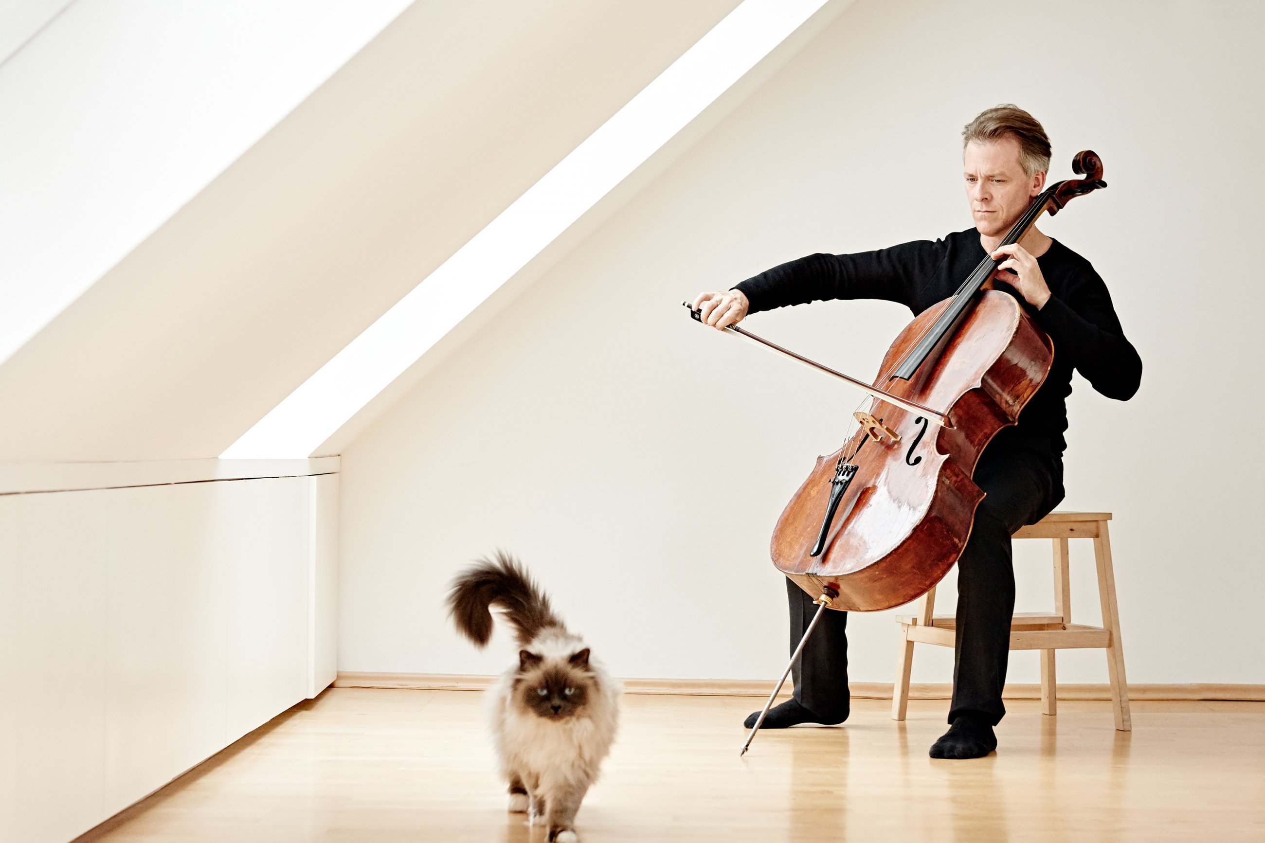 Alban Gerhardt | HarrisonParrott