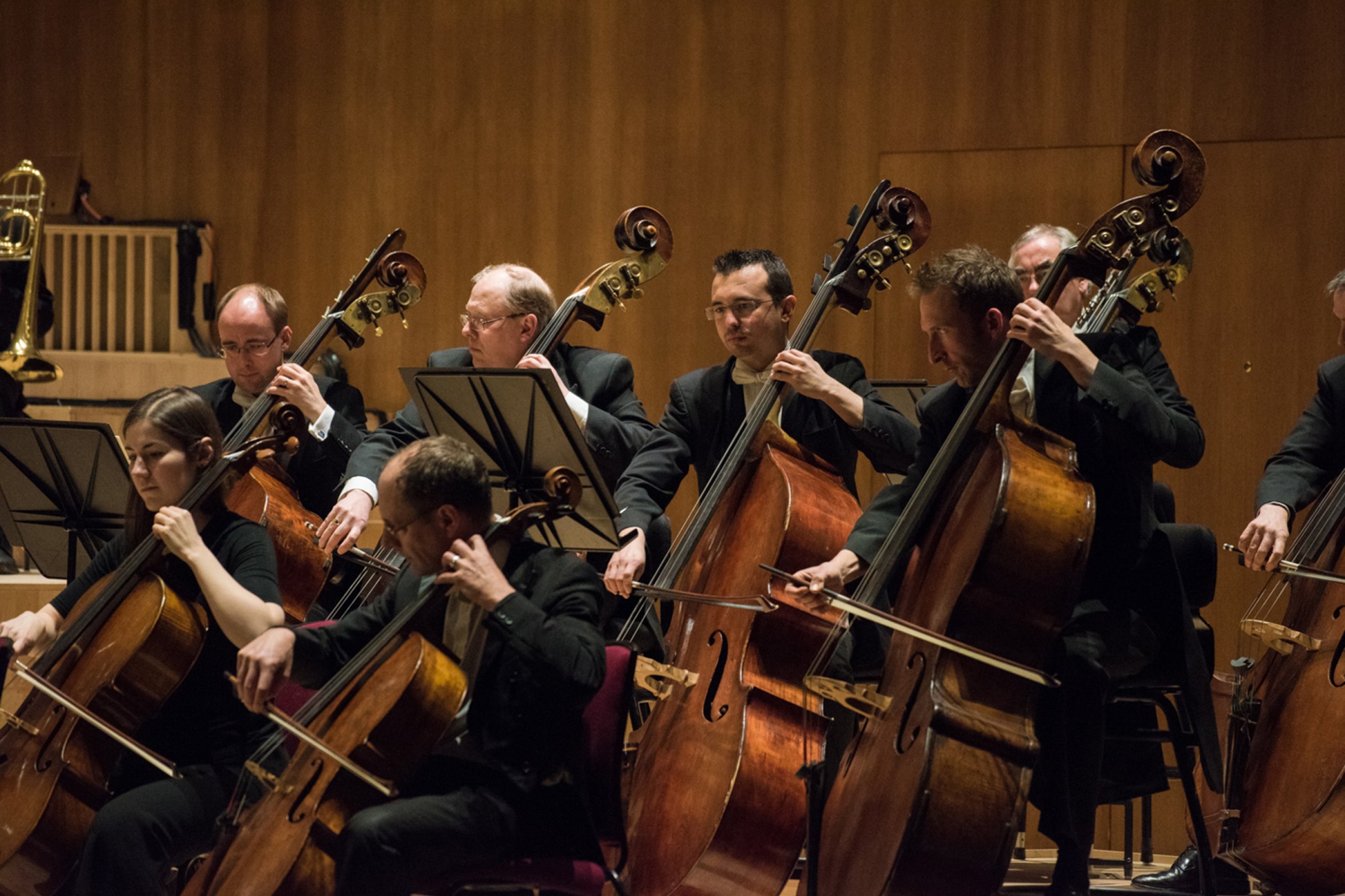 Jiří Rožen makes his London debut with the Royal Philharmonic Orchestra ...