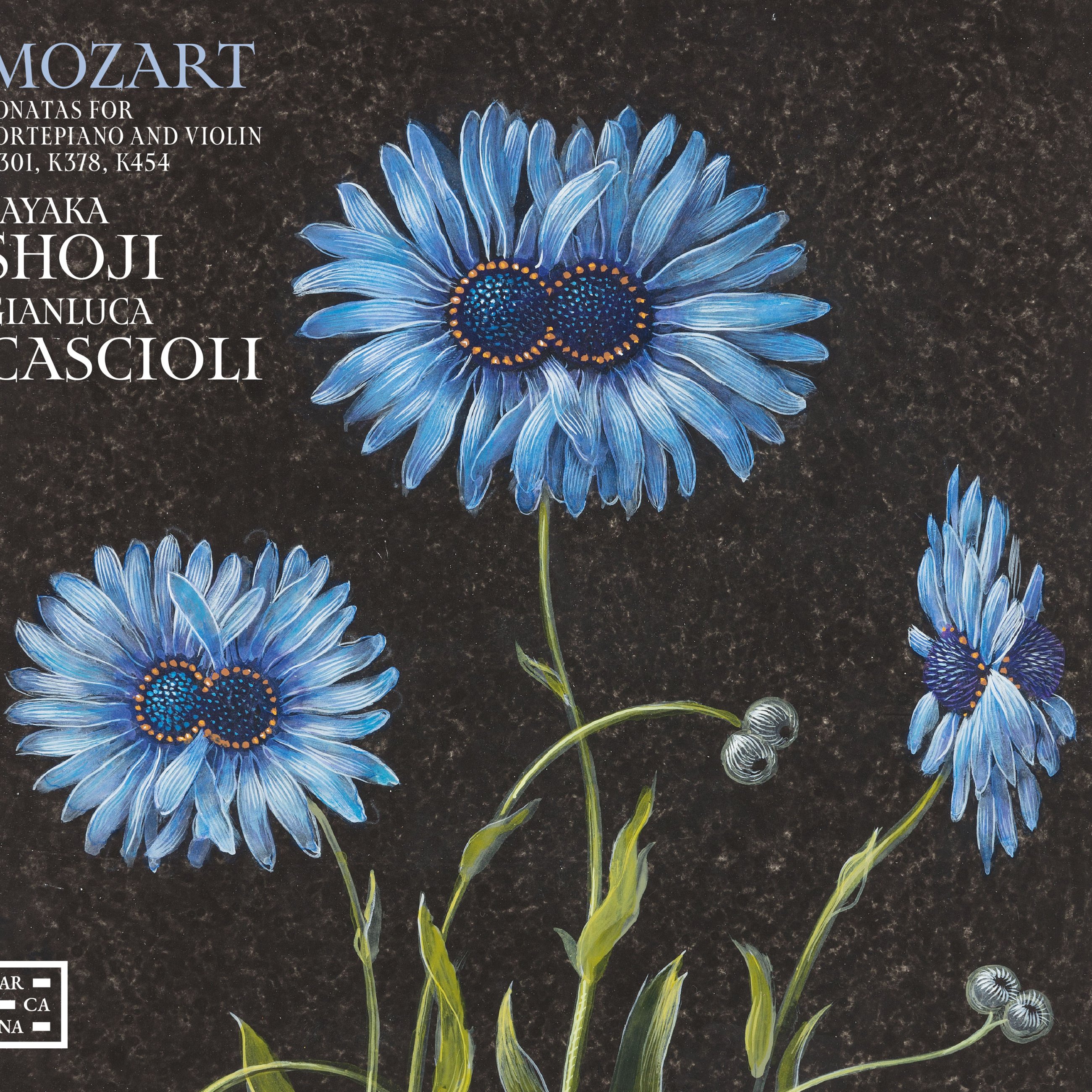 Sayaka Shoji | HarrisonParrott